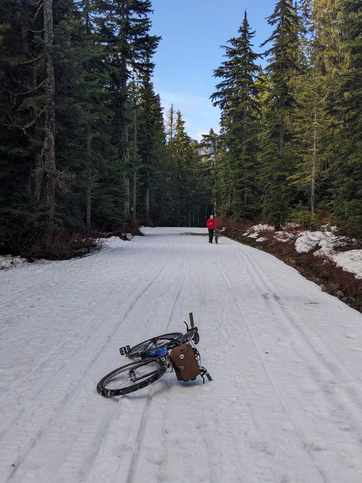 Crust Wombat – jasonmytail